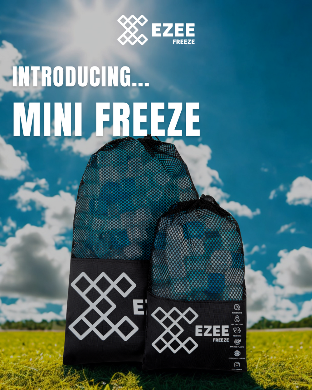 Ezee Freeze USA | Reusable Ice Bags That Last Years