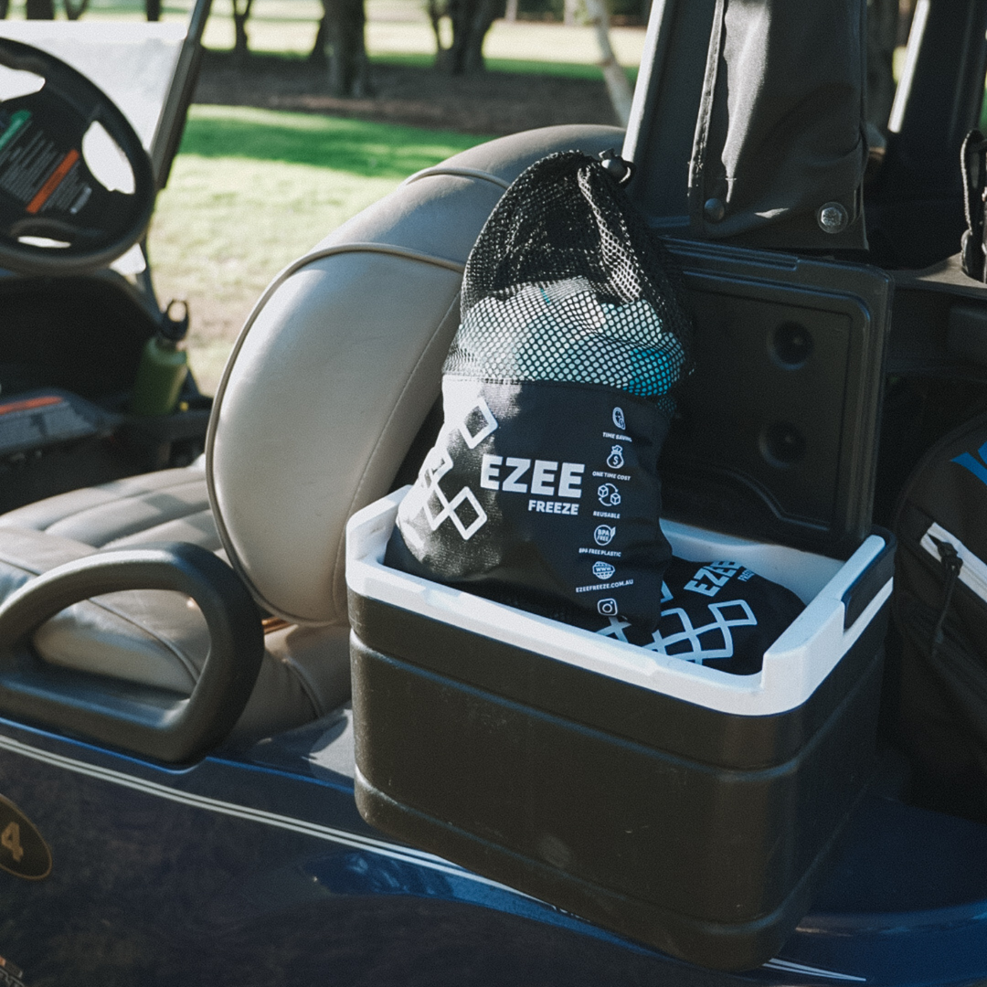 EZEE FREEZE – Ezee Freeze USA